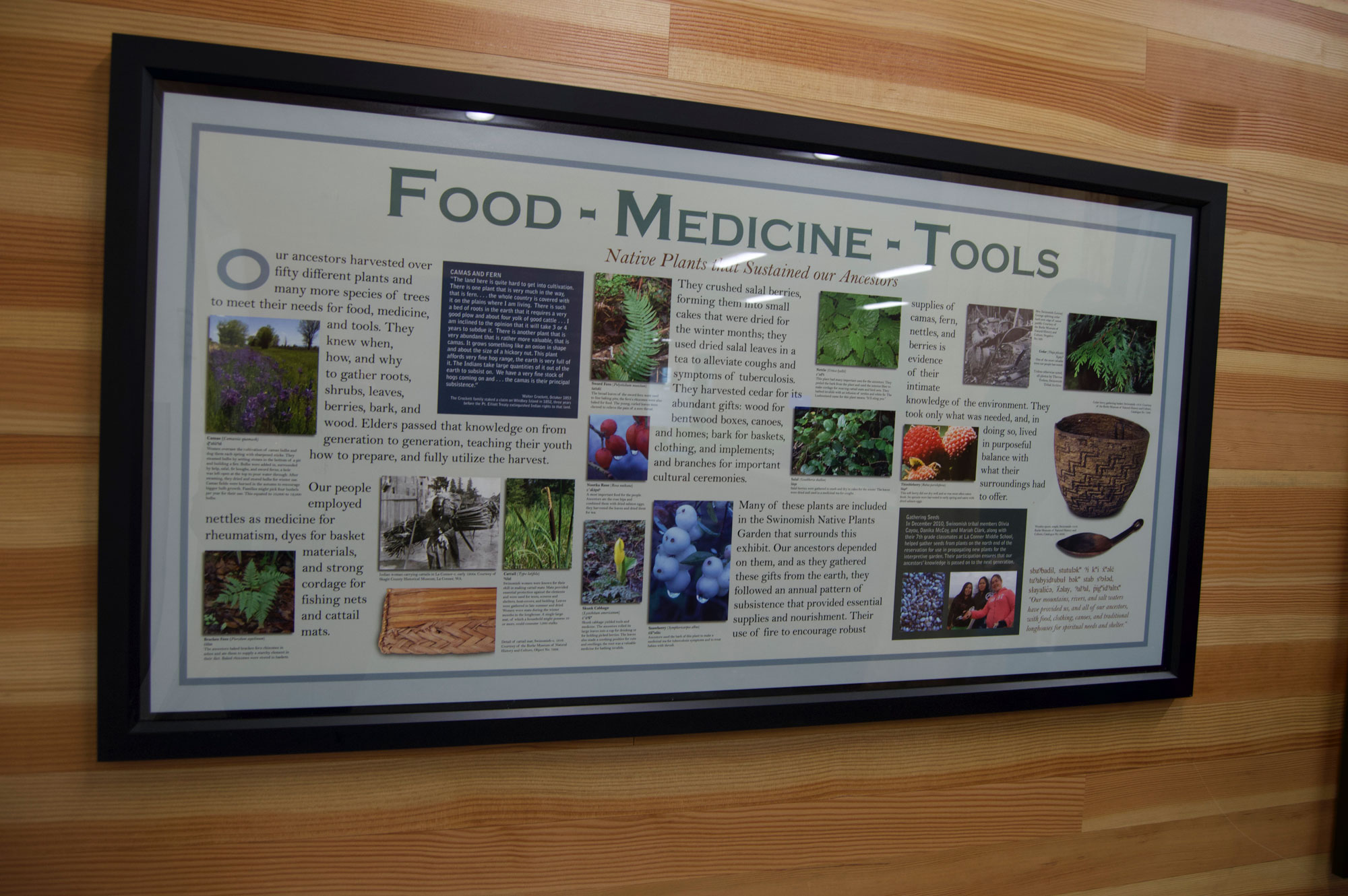 ‘Coming Home to Themselves’: Native American Nations Turn to Tradition ...